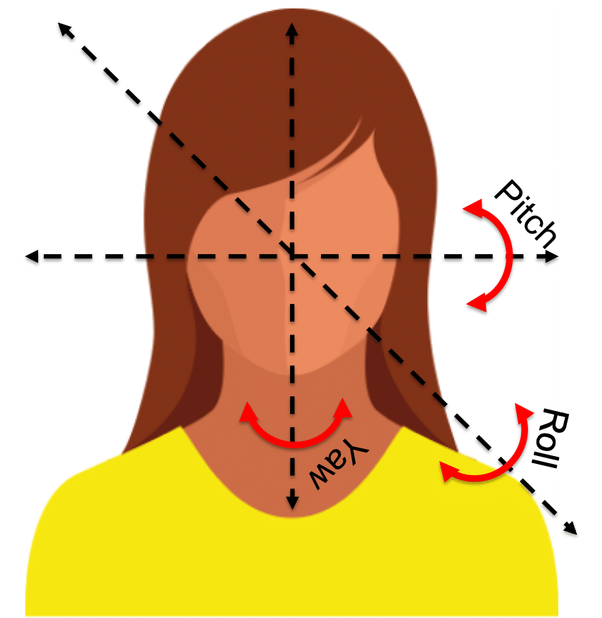 Face Recognition Dictionary | Rank One Computing