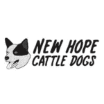 About Us | Rank One Computing